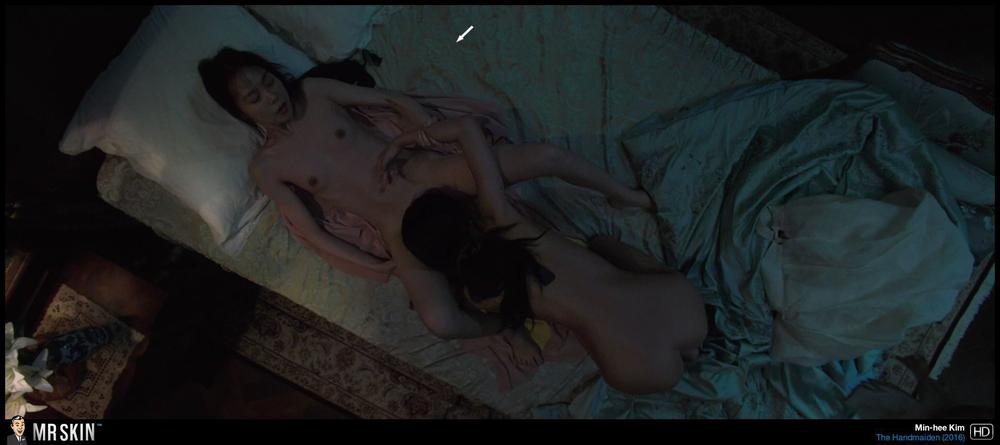Skincoming On Dvd And Blu Ray The Handmaiden Aria And More